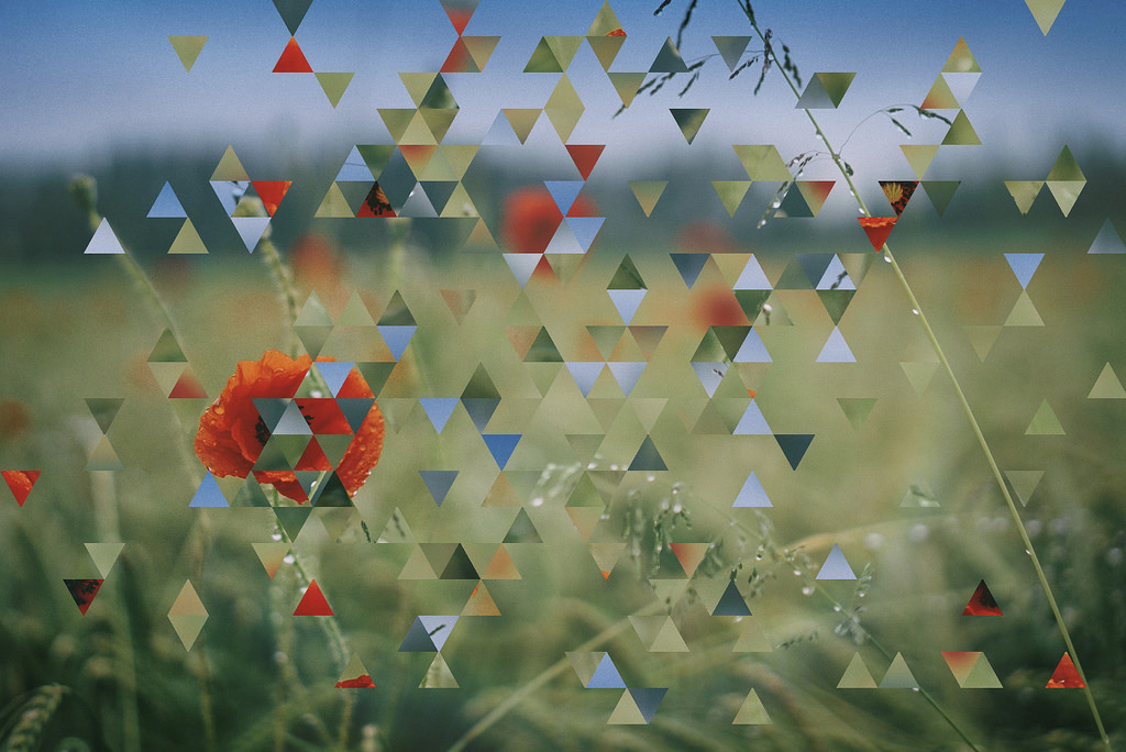 NewVisibility | News | Le immagini bitmap e il loro utilizzo